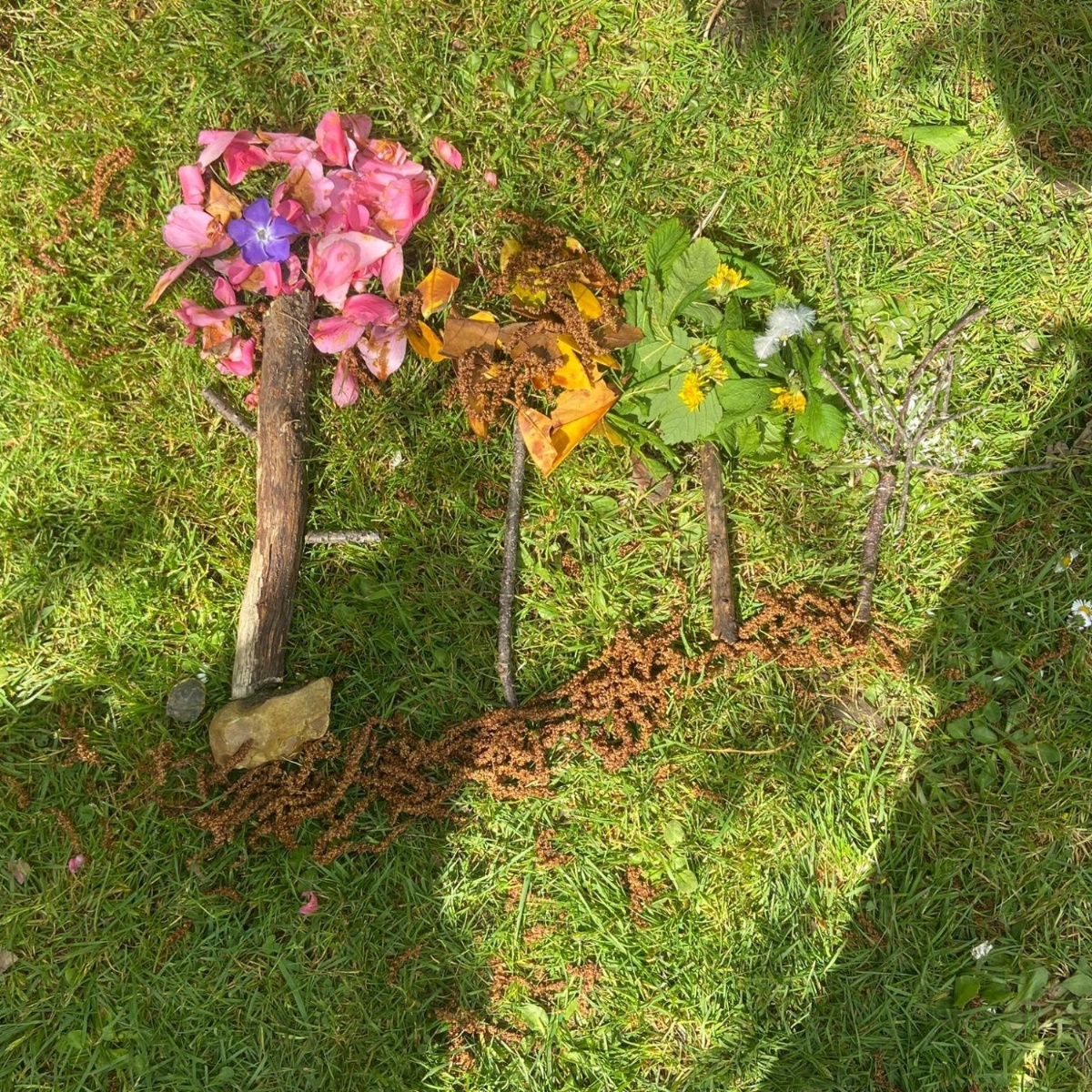 Hordle CE (VA) Primary School & Nursery - KS1 Outdoor Learning