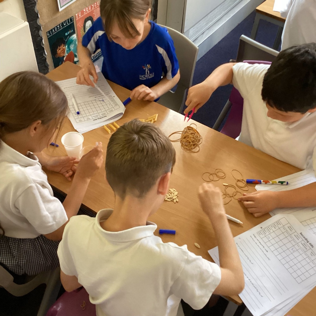 Hordle CE (VA) Primary School & Nursery - Team UJ's: Charles Darwins ...