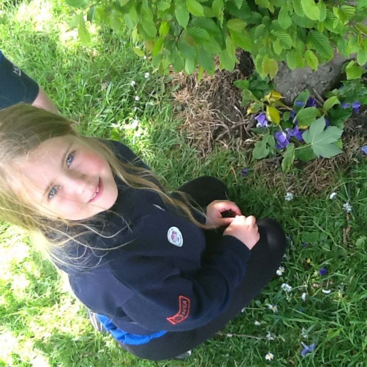 Hordle CE (VA) Primary School & Nursery - KS1 Minibeast Homes